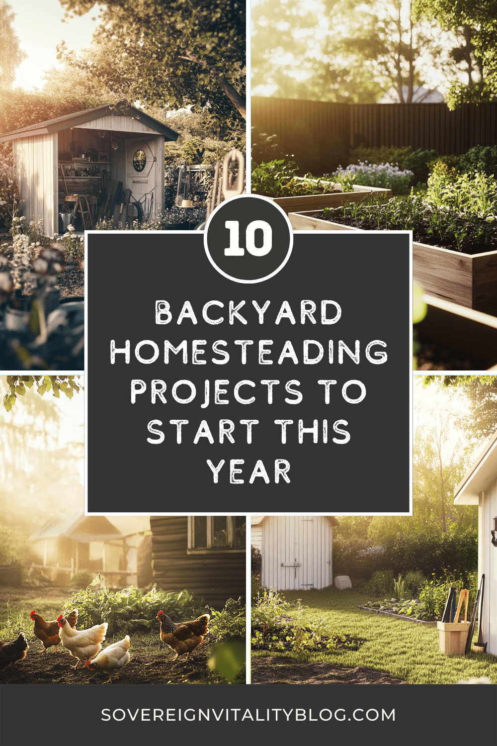 10 Backyard Homesteading Projects to Start This Year