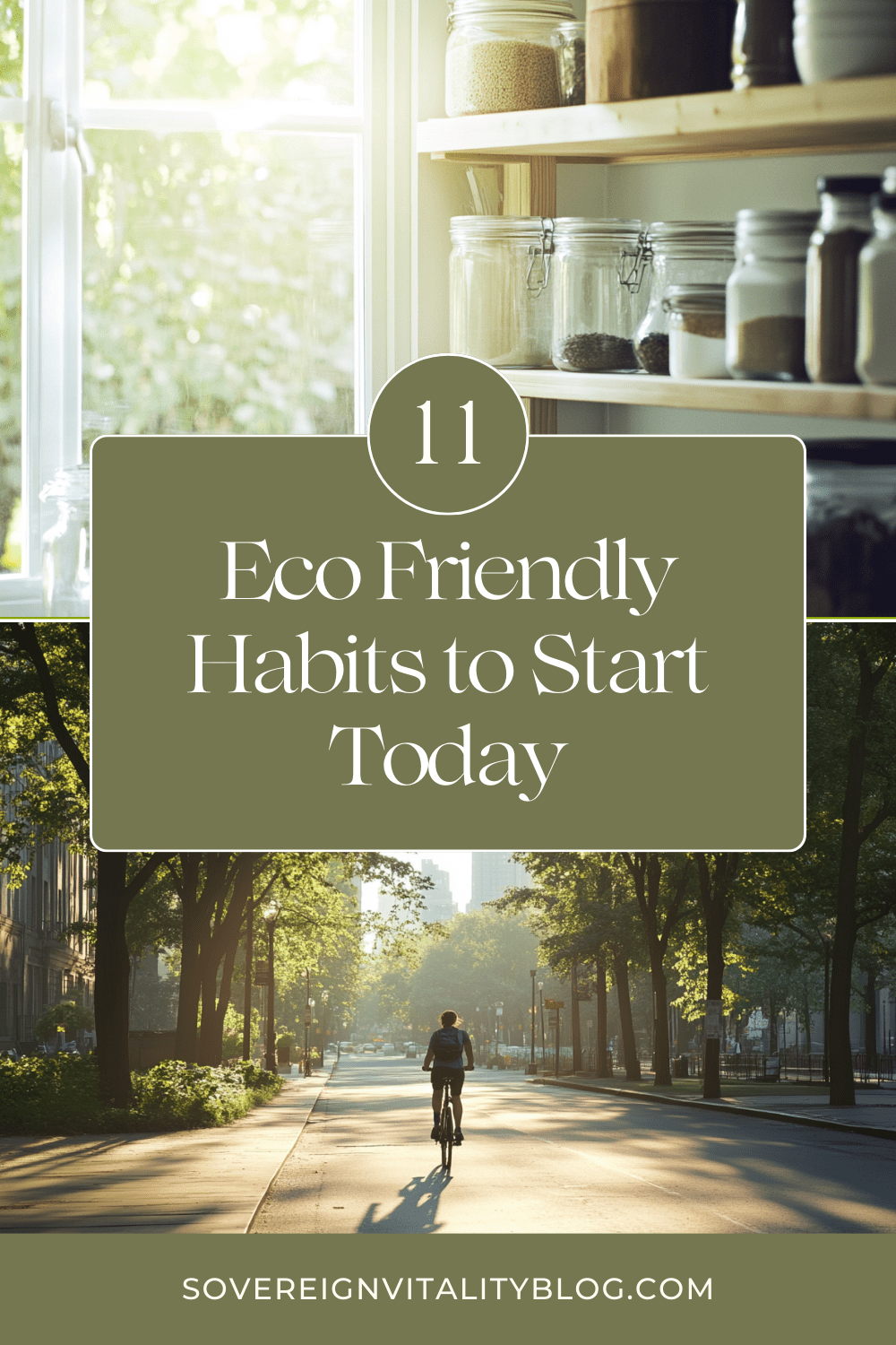 11 Eco Friendly Tips to Live a More Sustainable Life Today