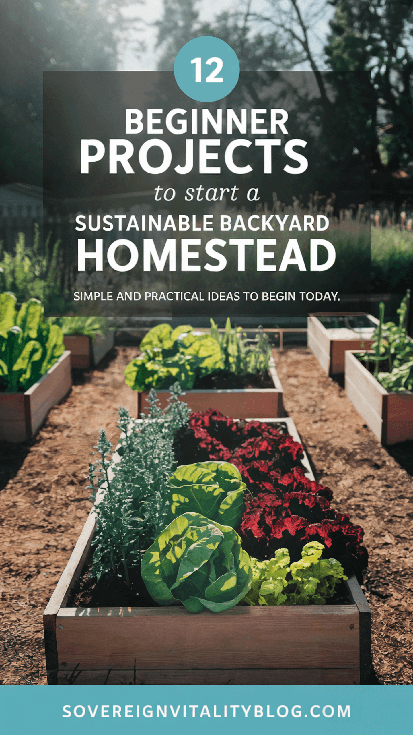 12 Simple Beginner Projects to Start a Sustainable Backyard Homestead ...