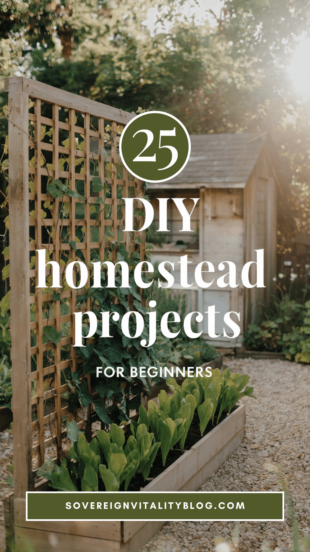 25 Easy DIY Projects for Beginner Urban Homesteaders - Sovereign ...