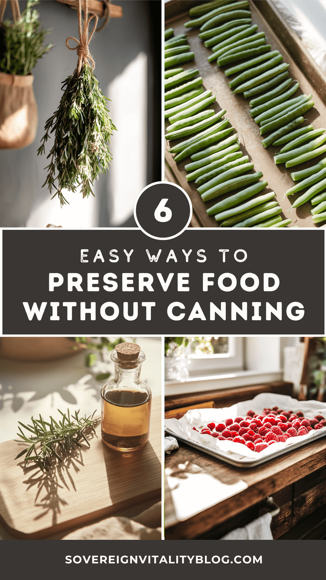 6 Easy Ways to Preserve Food Without Canning - Sovereign Vitality ...
