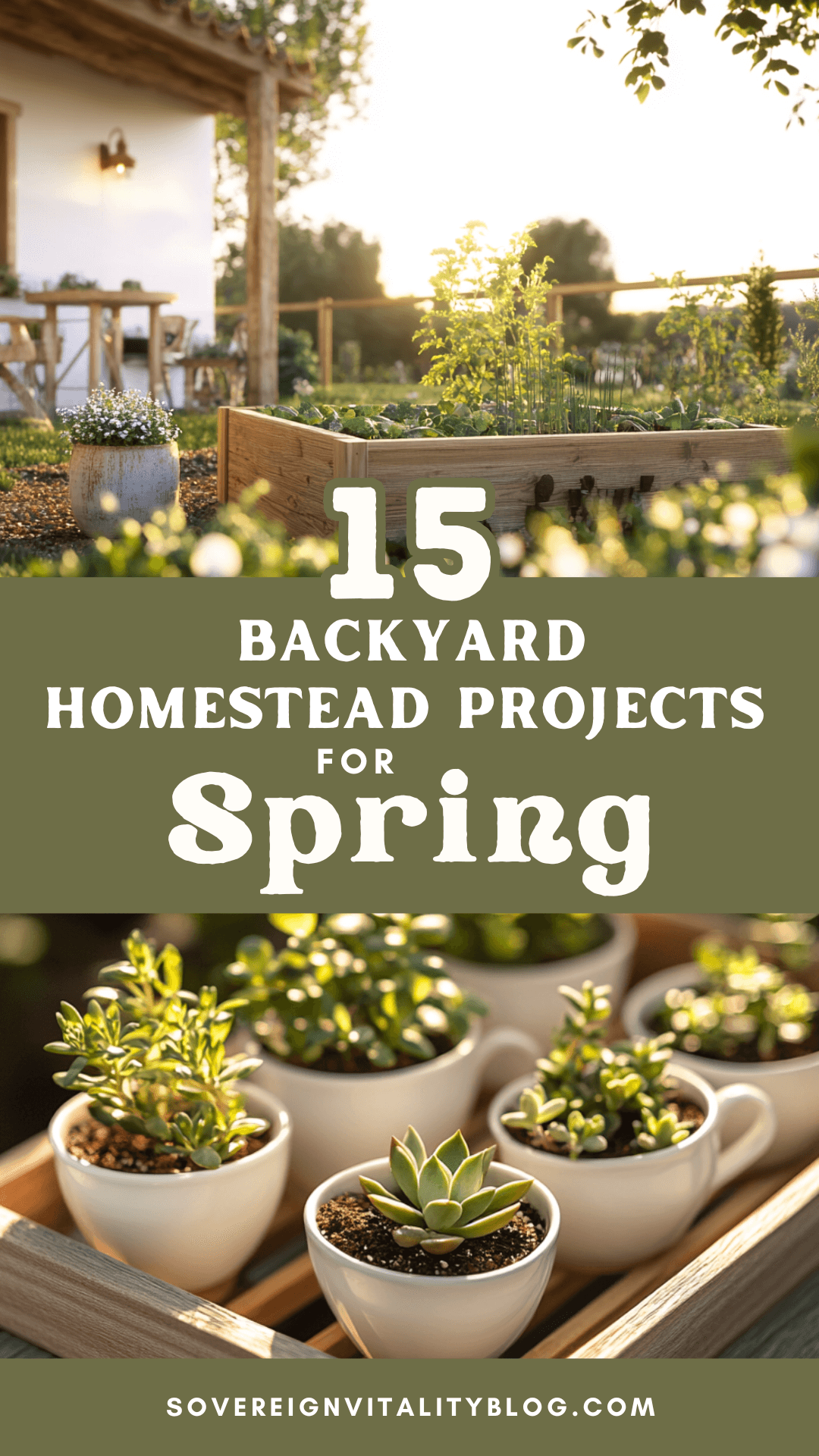 15 Creative Backyard Homesteading Projects To Start This Spring ...