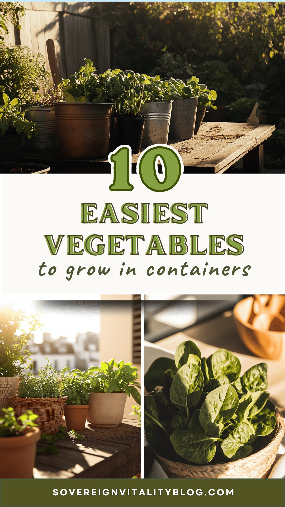 10 Easiest Vegetables for Container Gardening in Small Spaces ...