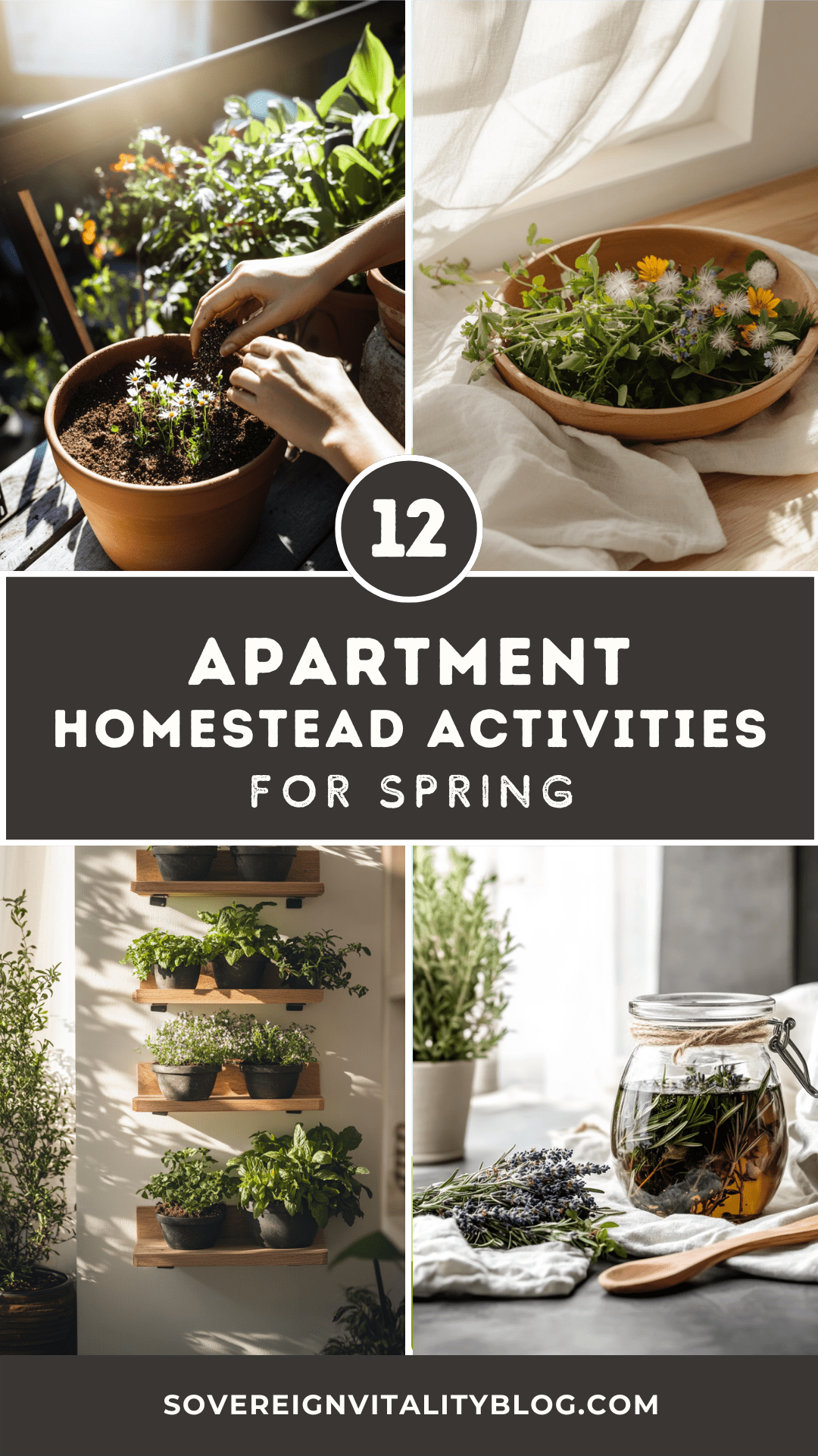 12 Spring Apartment Homestead Activities for Beginners - Sovereign ...
