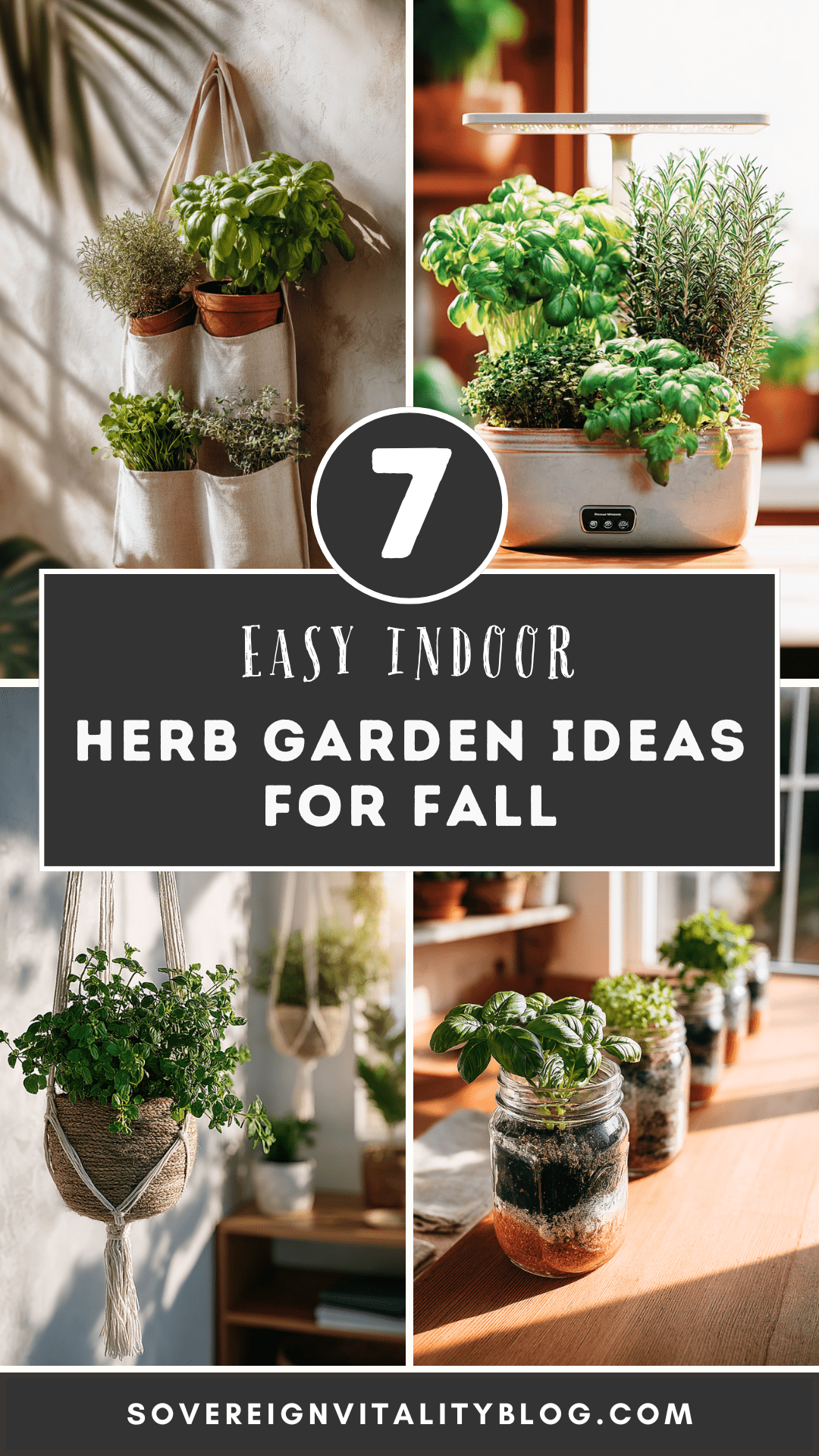 7 Easy Indoor Herb Garden Ideas for Fall and Winter - Sovereign ...