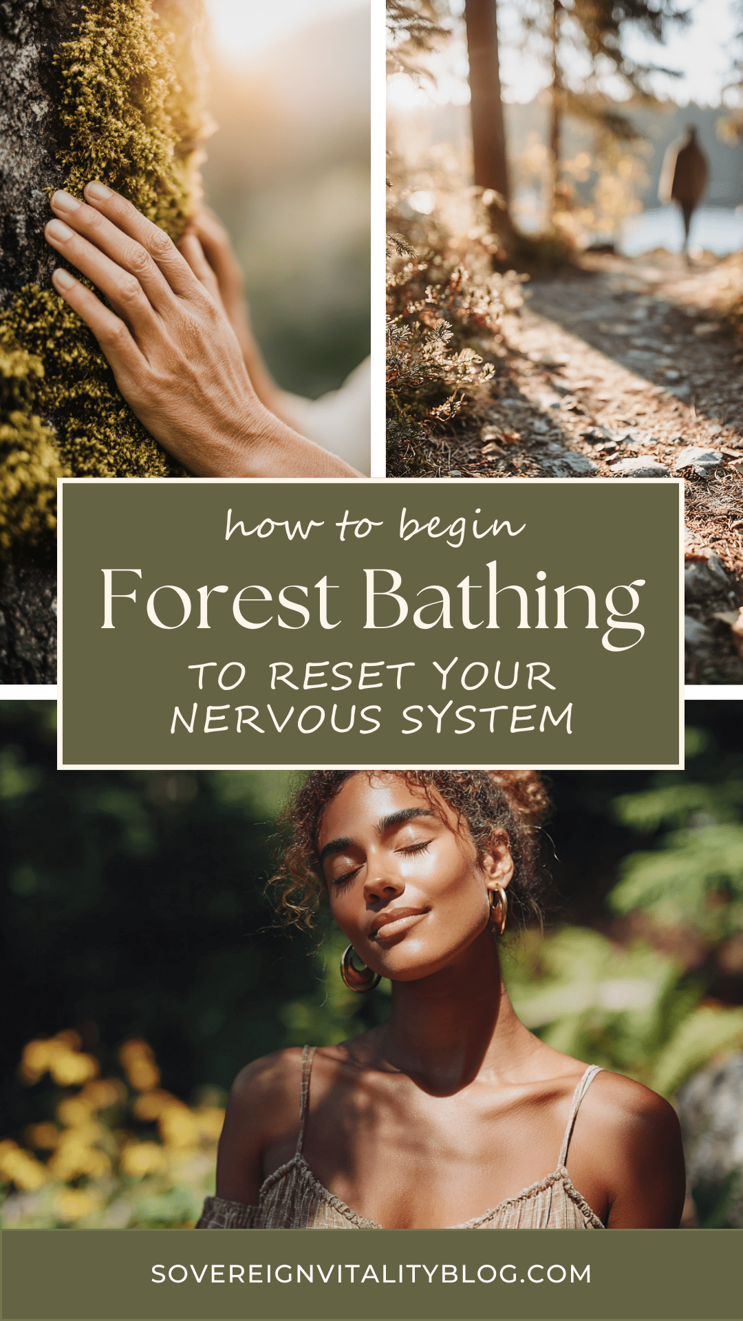 5 Easy Ways to Begin Forest Bathing For Self Care - Sovereign Vitality ...